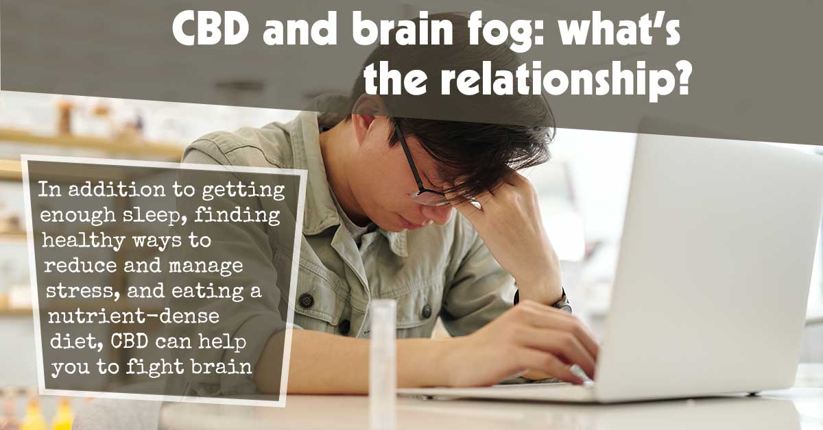 CBD and Brain Fog: What’s the Relationship?