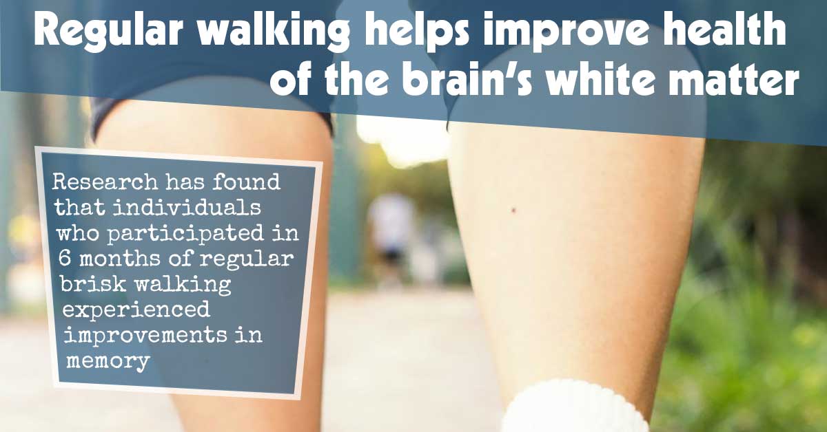 Regular Walking Helps Improve Health of the Brain’s White Matter